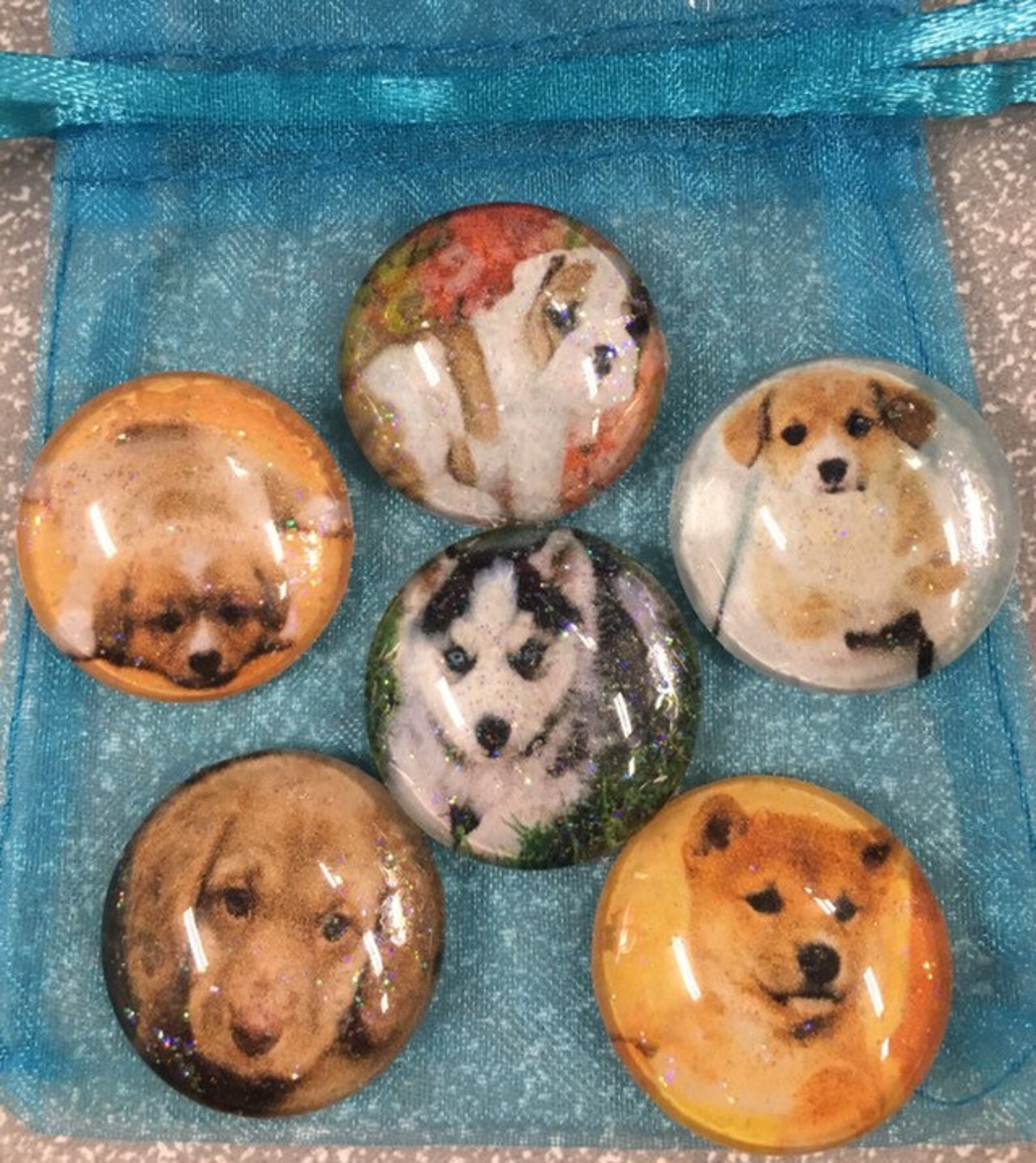 Puppy Glass Magnet Dog Glass Fridge Magnet Set. Cute Puppy - Etsy