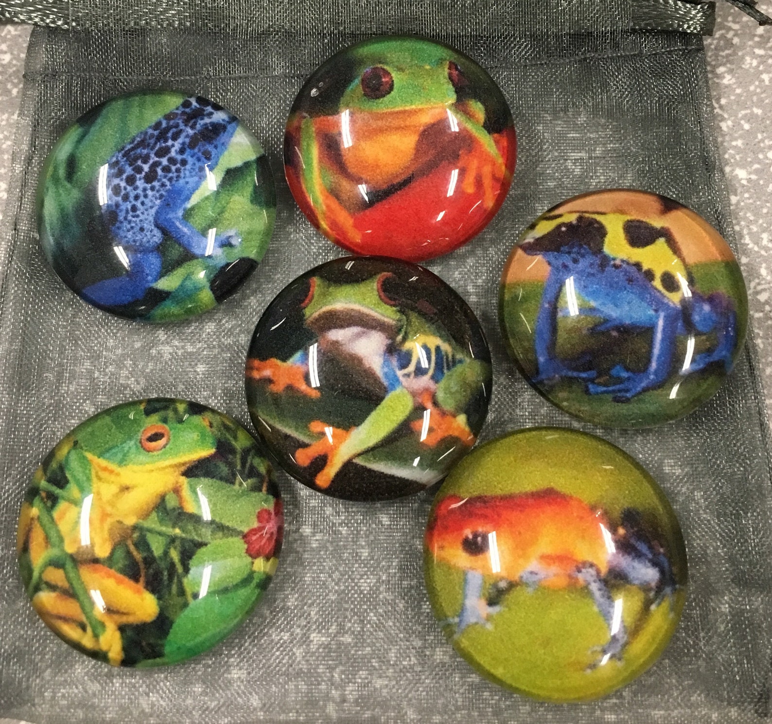 Frog Glass Fridge Magnet Set. Refrgerator Magnets Locker - Etsy