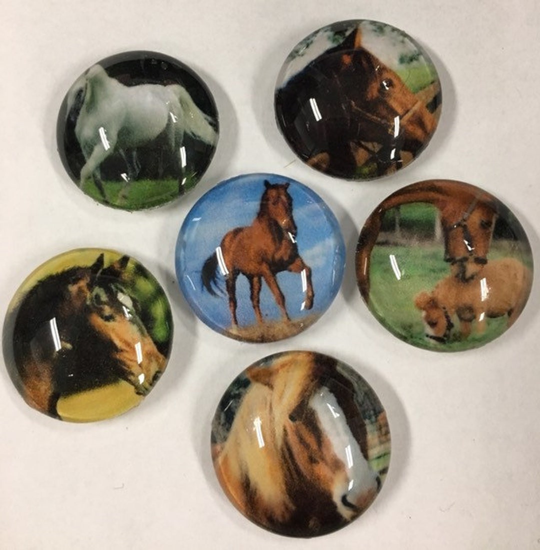 Horse Glass Magnets - One Inch Round, Set of 6 - Etsy