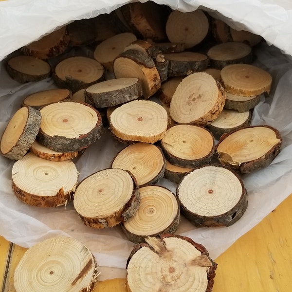 Tree Branch Slices - Etsy