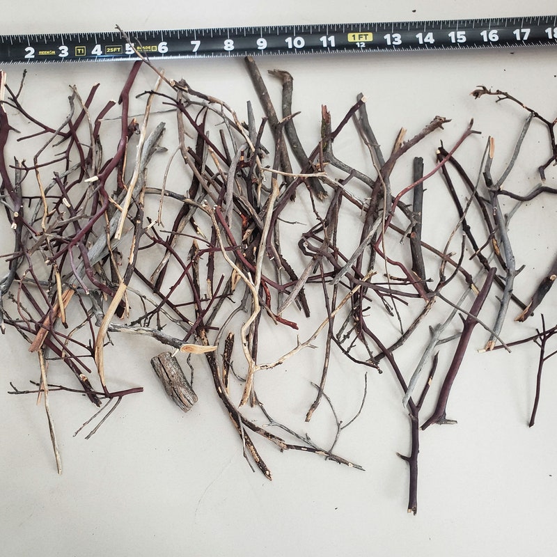 Wood Full Tree Carving - Etsy