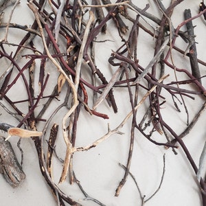 Small Box Full of Mini Manzanita Twigs, Tiny Trees for Crafting - Etsy