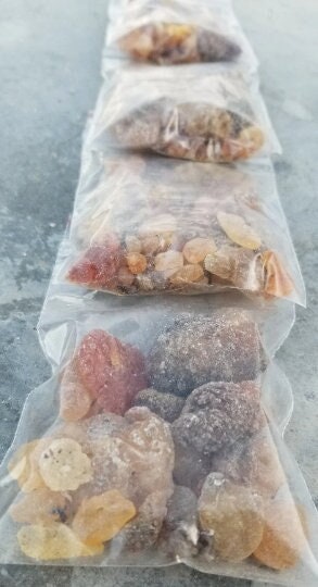 2 Oz. 2 Lb Pinus Ponderosa Pine Tree Sap Resin Raw Hand Foraged Natural ...