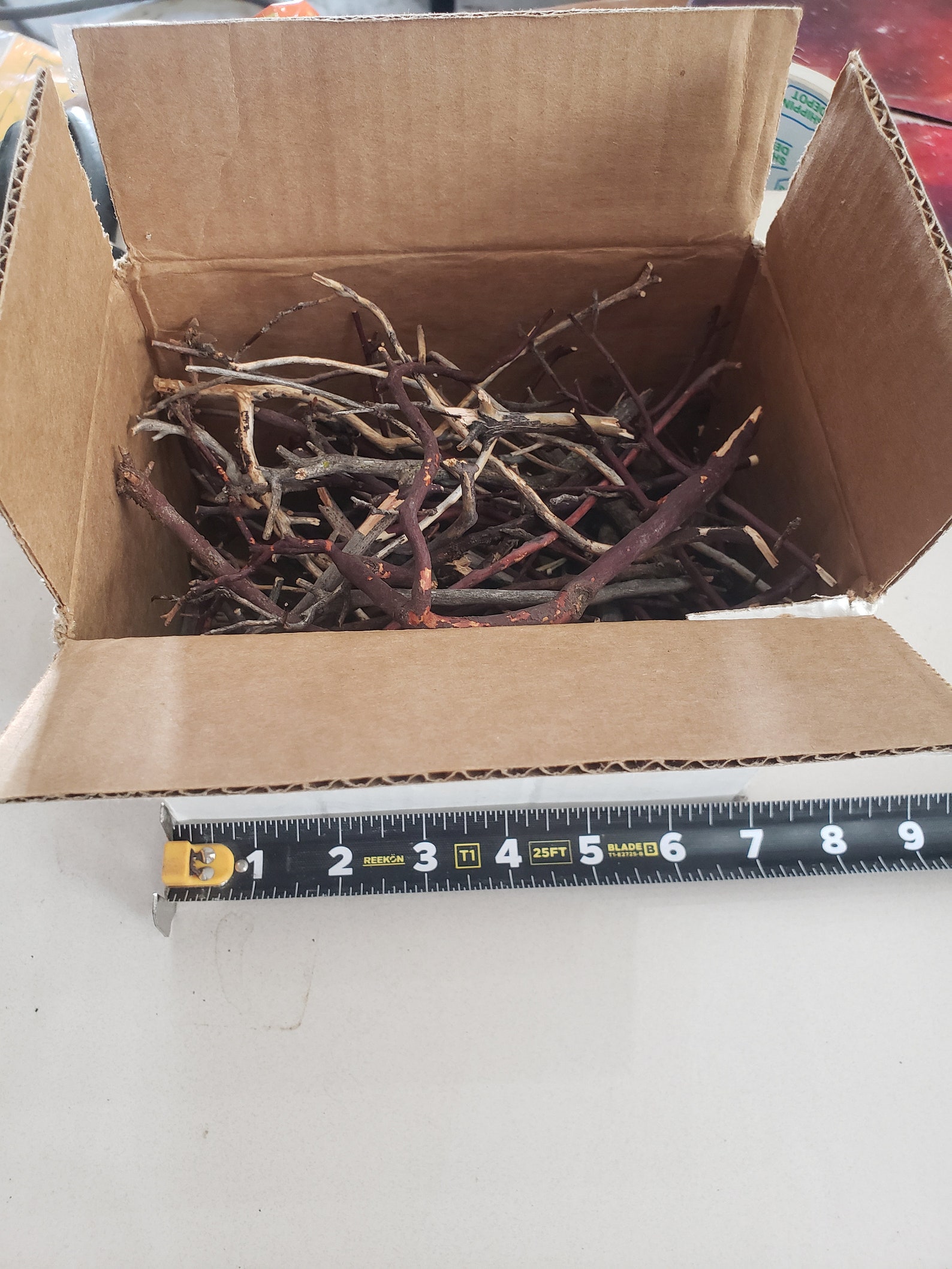 Small Box Full of Mini Manzanita Twigs, Tiny Trees for Crafting - Etsy