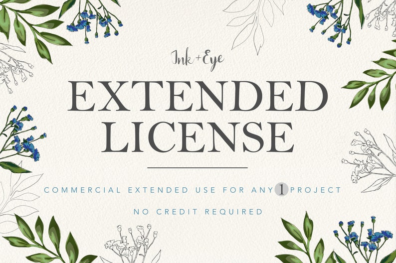 EXTENDED LICENSE Any Single Product (clipart Sold Separately) - Etsy