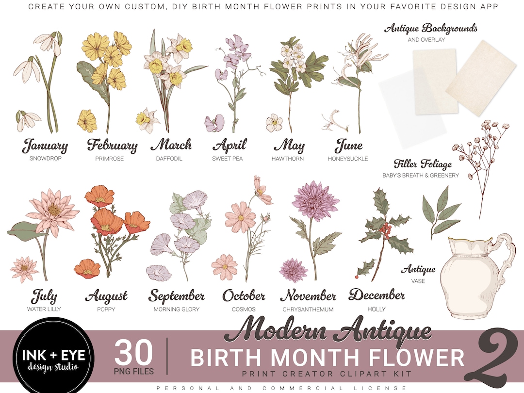 Birth Month Flowers Clipart: Antique Floral PNG Bundle (digital ...