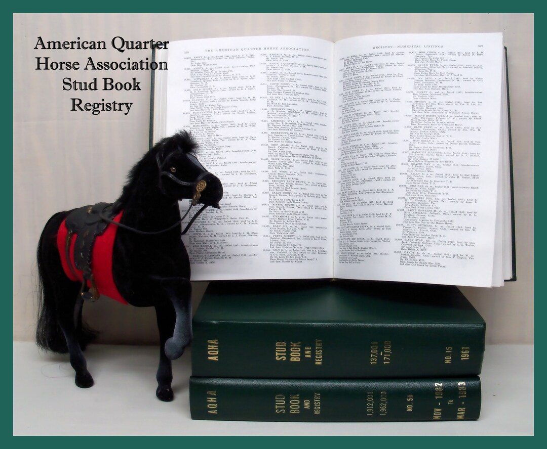 American Quarter Horse Association *AQHA* Stud Book Registries - Etsy