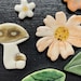 Set of 7 Nature Inspired Magnets in a Set/ Leafs, Orangey Peach Flowers ...