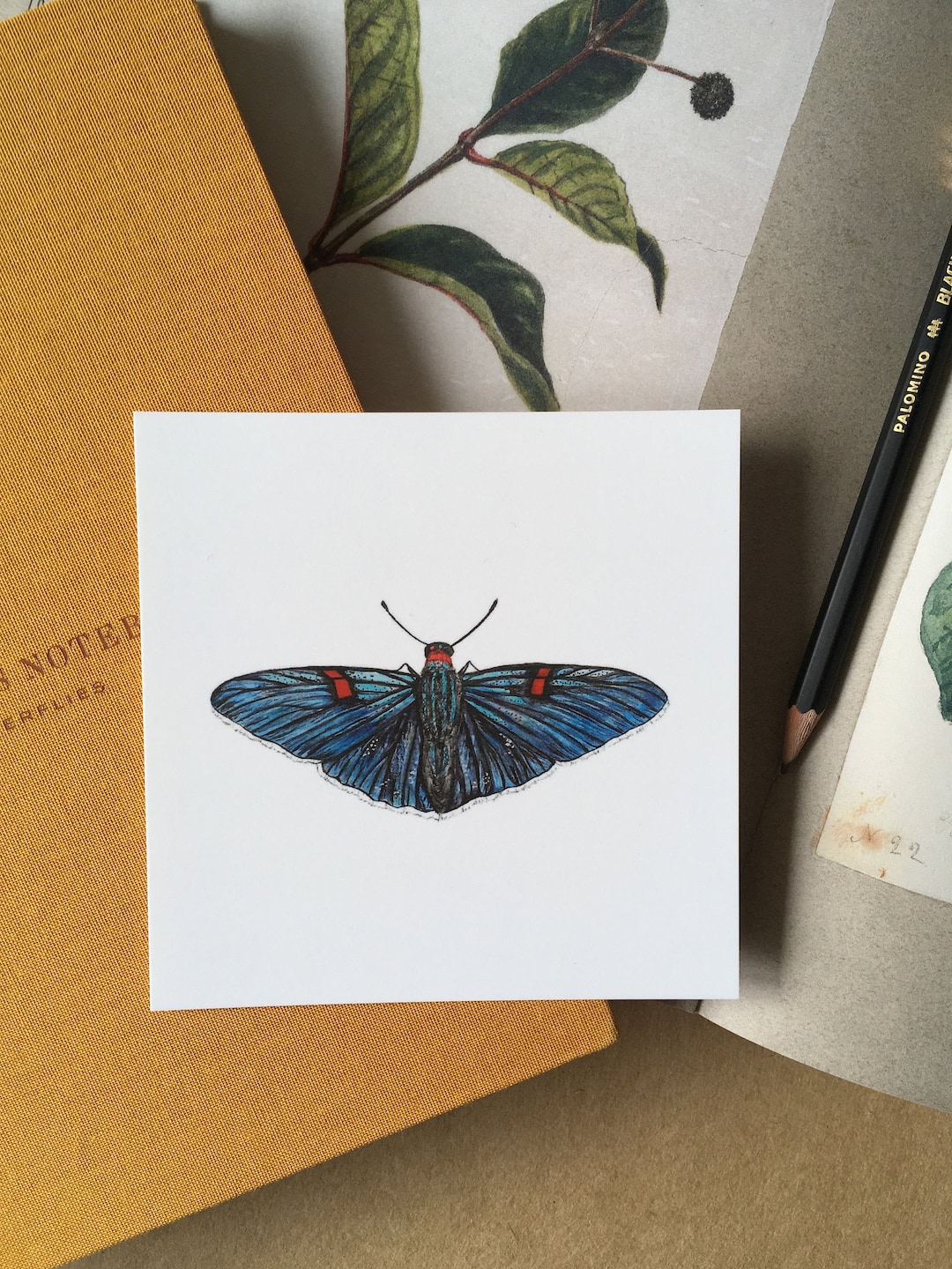 Square Postcard, Guava Skipper Butterfly, Phocides Polybius - Etsy