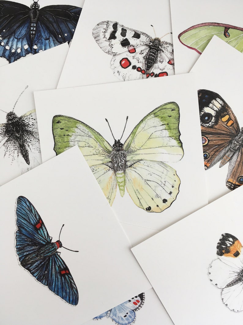 Square Postcard, Guava Skipper Butterfly, Phocides Polybius - Etsy