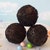 FAUX Chocolate Truffle Set Fake Food Kitchen Prop Decor Display TM3-03 ...