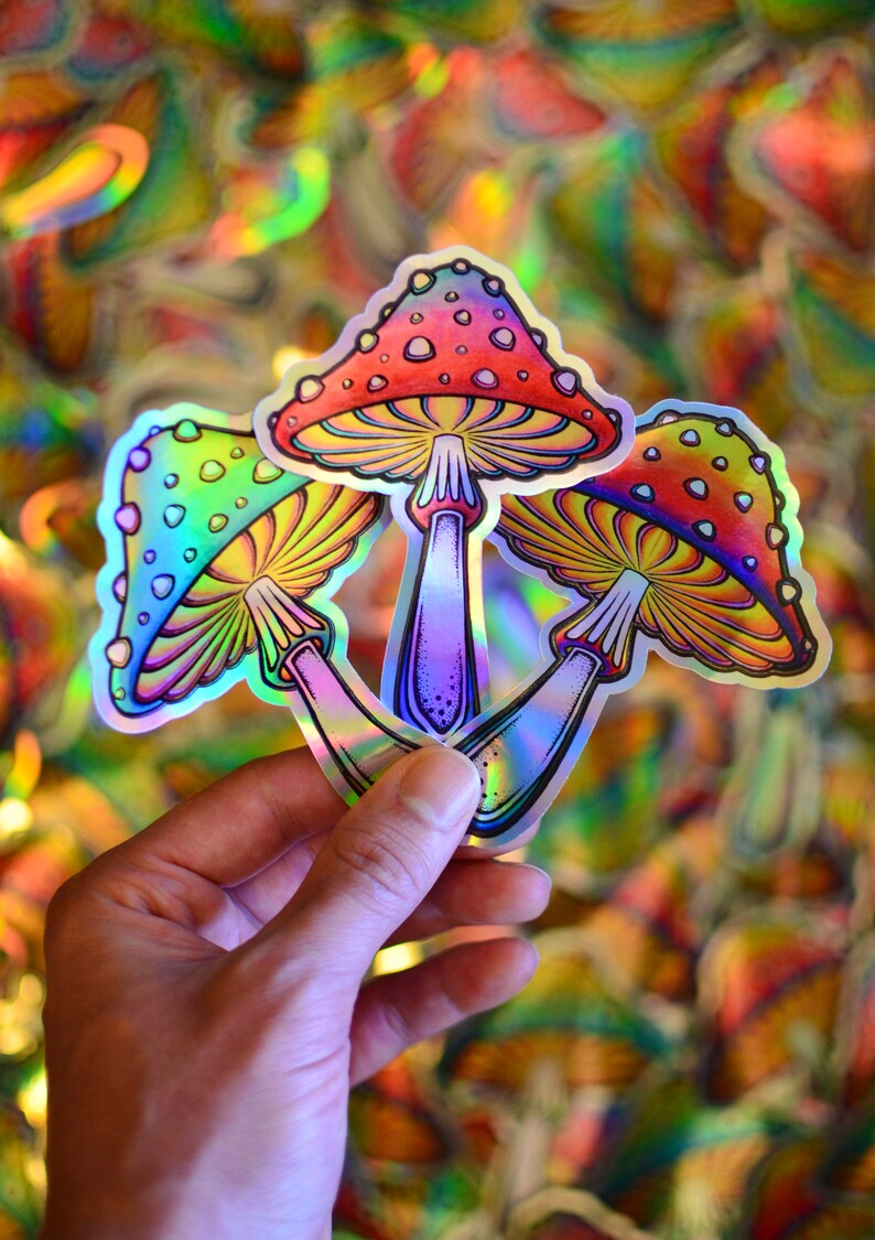 Hand Drawn Holographic Mushroom Sticker Pack Mushroom Decal - Etsy