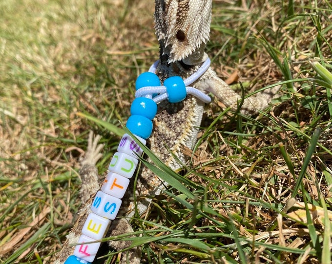 Leopard Gecko Small Lizard Harness - Etsy