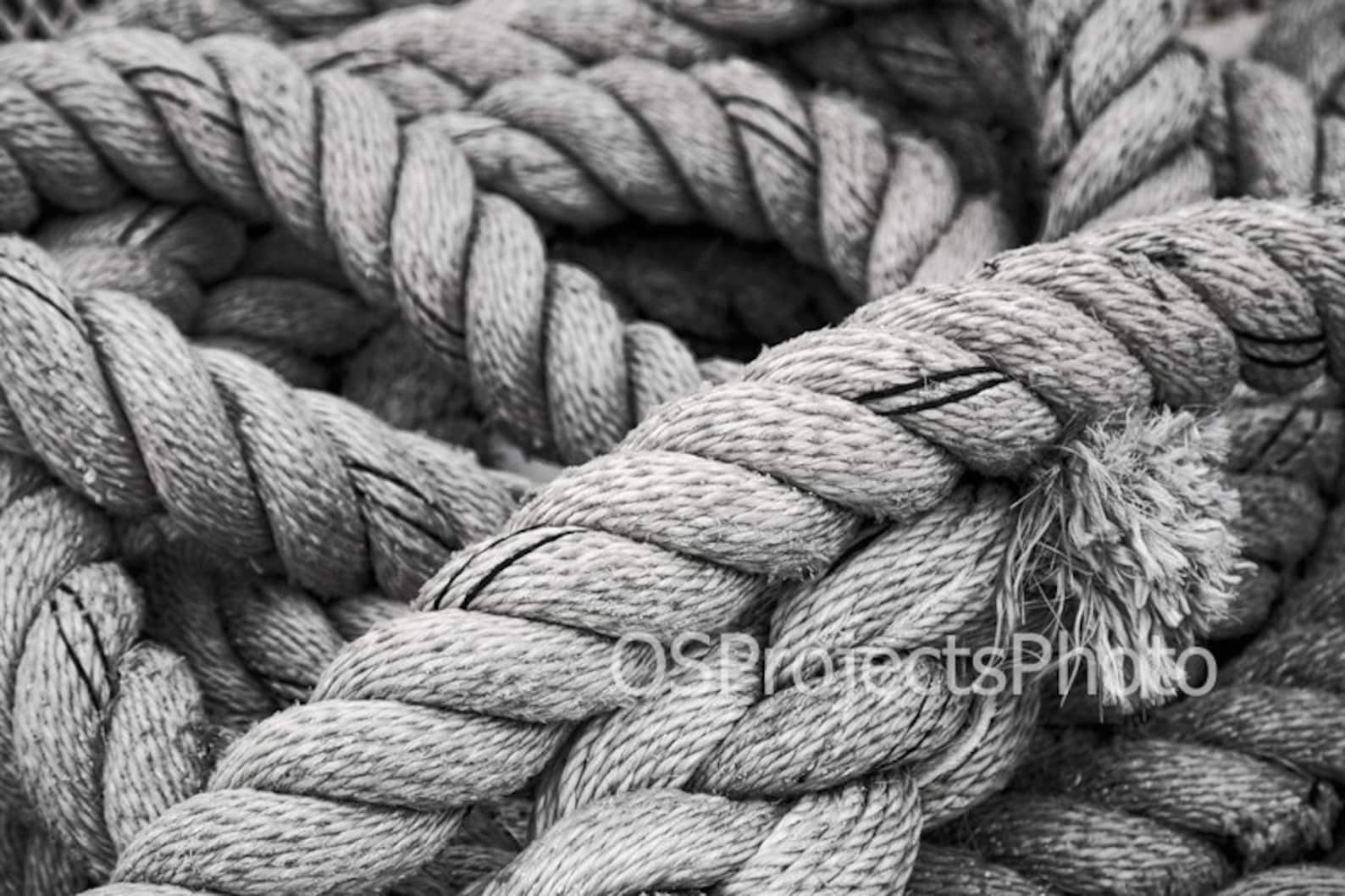 Nautical Rope III - Nautical Photography - Marine Rope Photo - Nautical ...