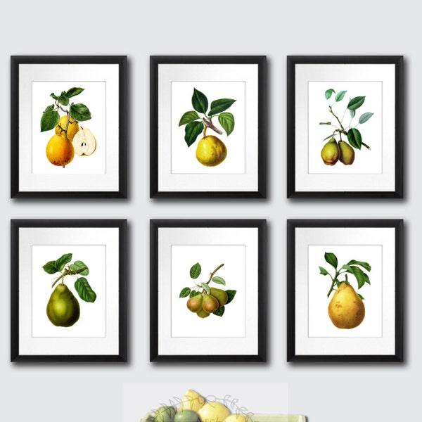Pear Wall Decor - Etsy