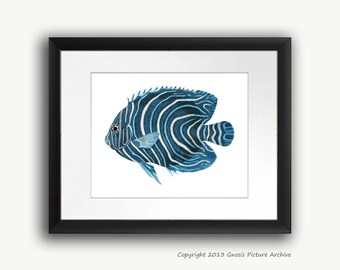 Antique Fish Print No.5 fanciful Tropical coral reef fish Wall | Etsy