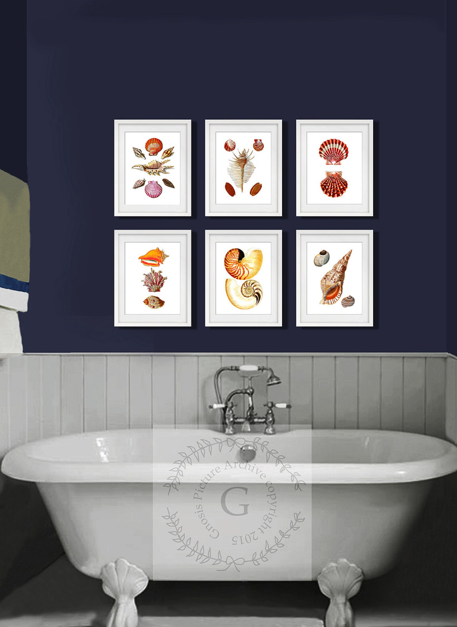 Seashells Bathroom Set of 6 Art Prints Beach Bathroom Decor - Etsy
