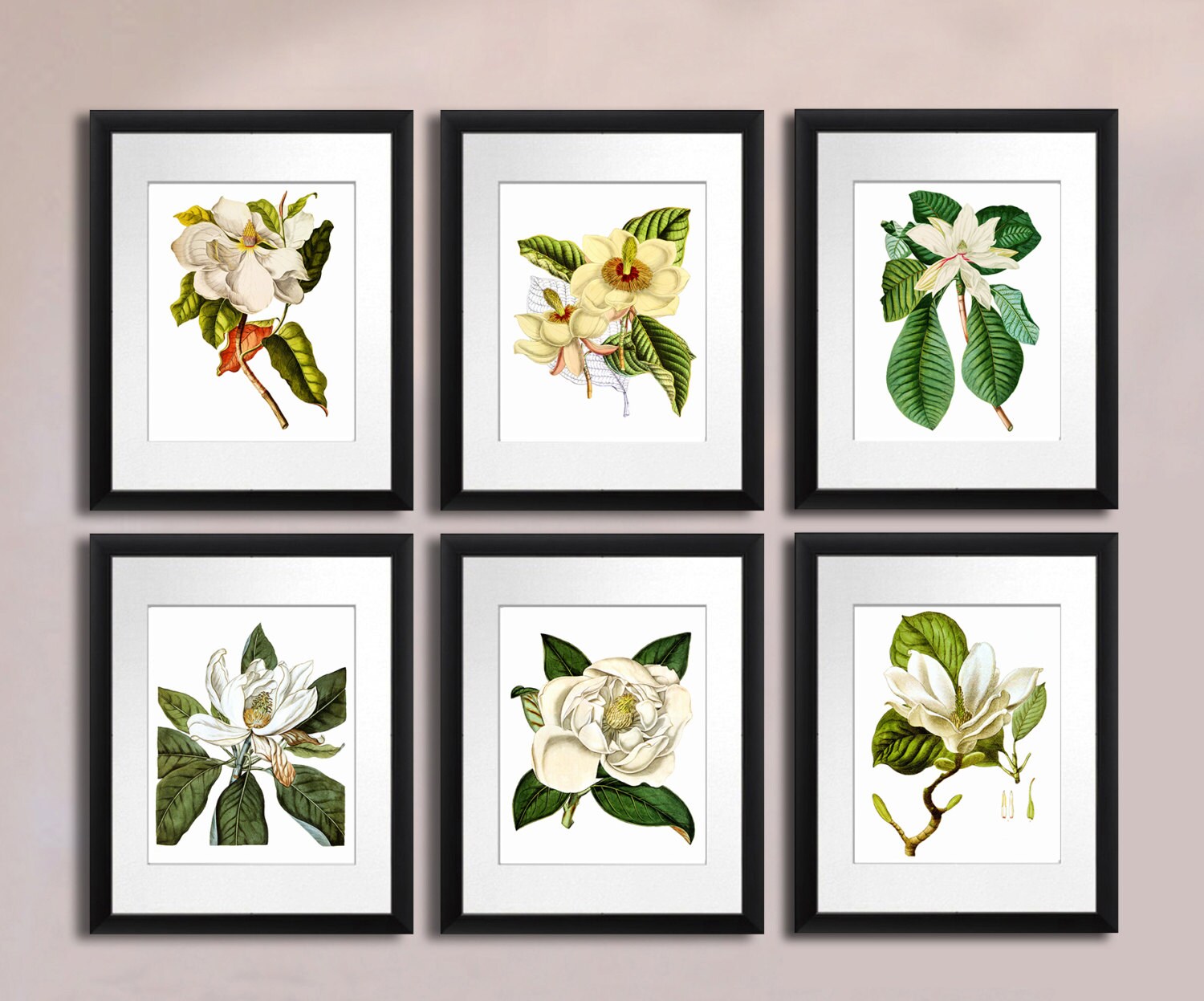 Magnolia Art Print Spring Flowers Decor Magnolia Prints - Etsy