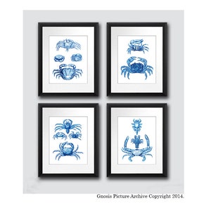 Vintage Coastal Decor Blue Crabs Prints Set of 4 Ocean Sea Life Seaside ...