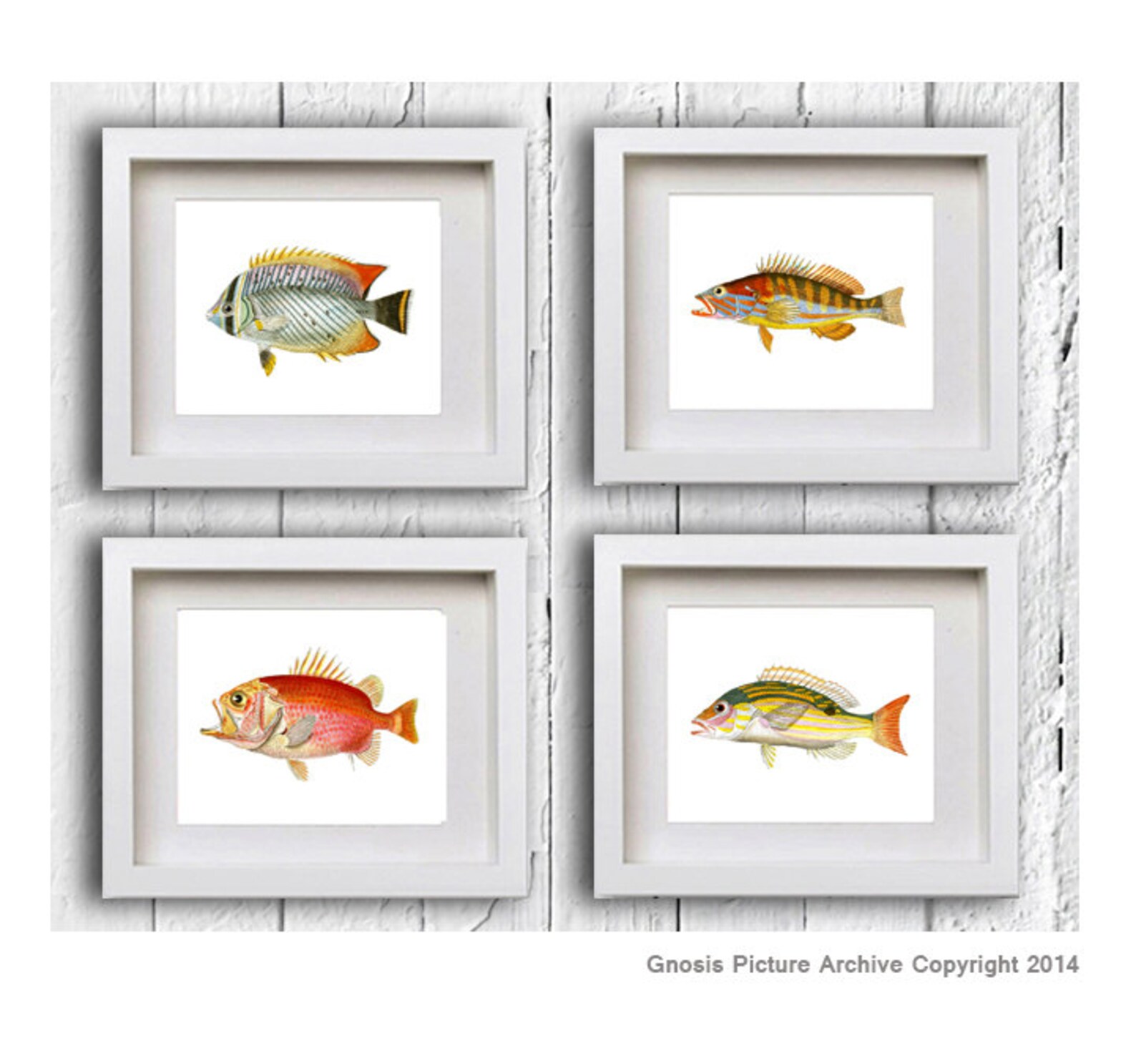 Tropical Fish Wall Art Decor for Bathroom Set of 4 Unframed Tropical ...