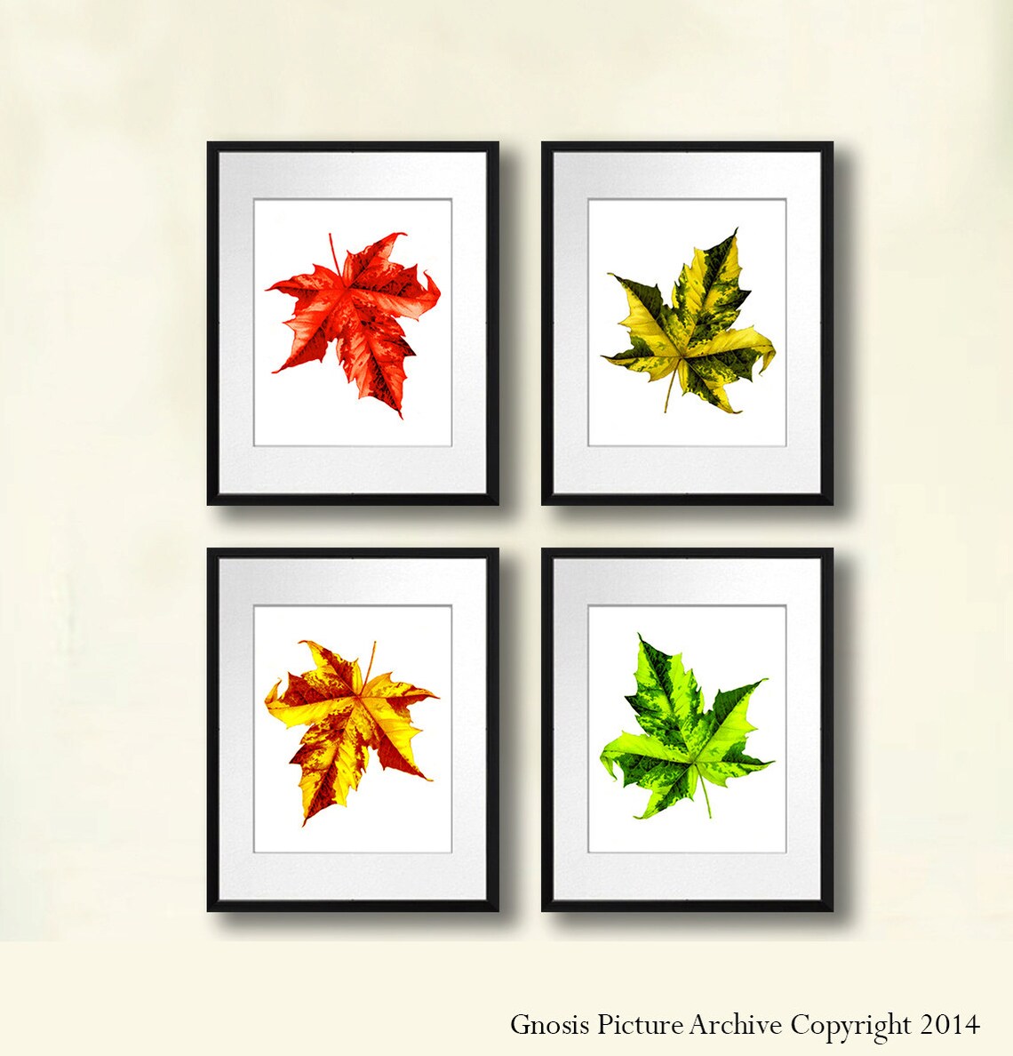 Fall Sale Maple Leaf Botanical Prints Set of 4 Fall Decoration - Etsy
