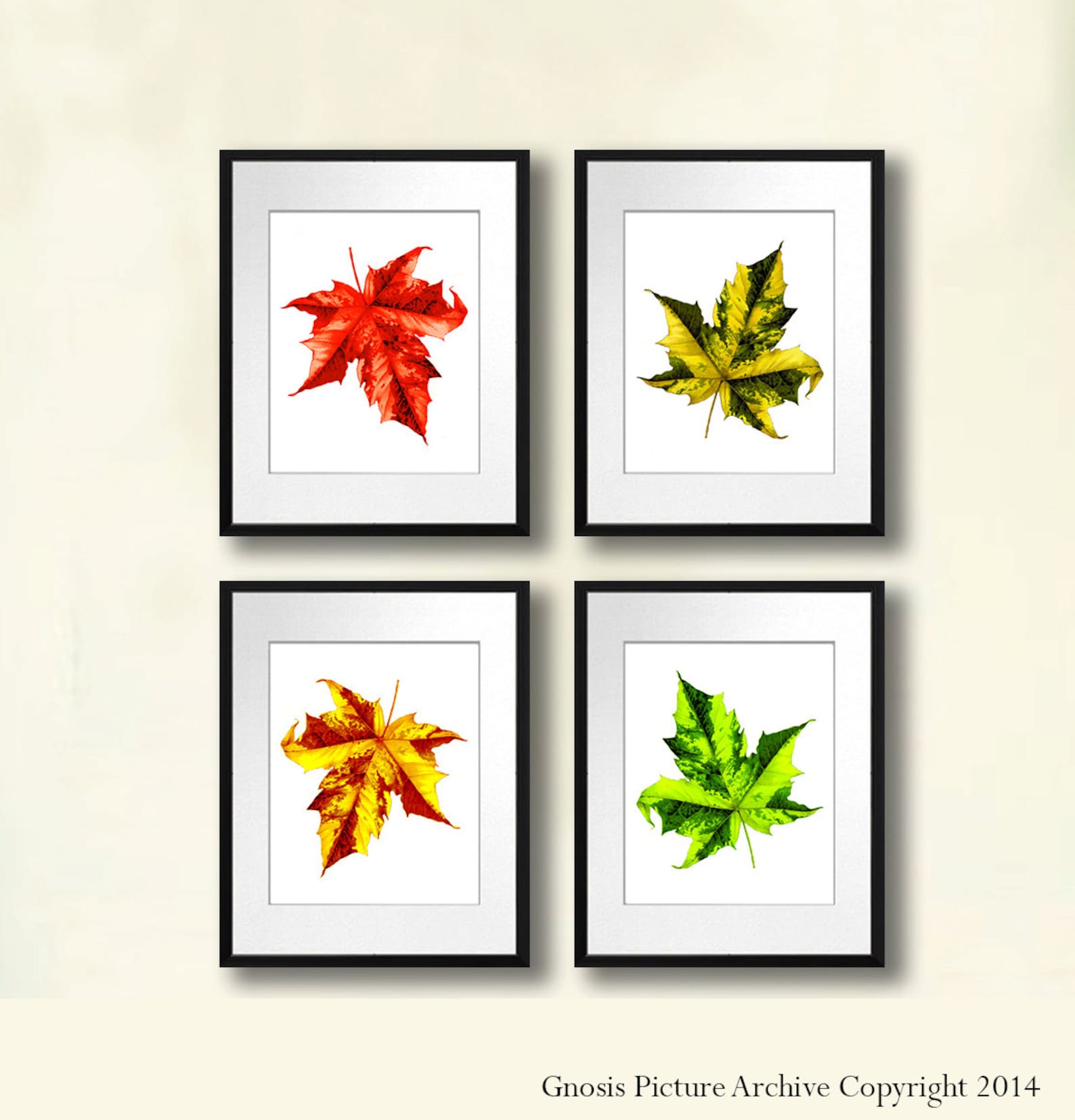 Fall Sale Maple Leaf Botanical Prints Set of 4 Fall Decoration - Etsy