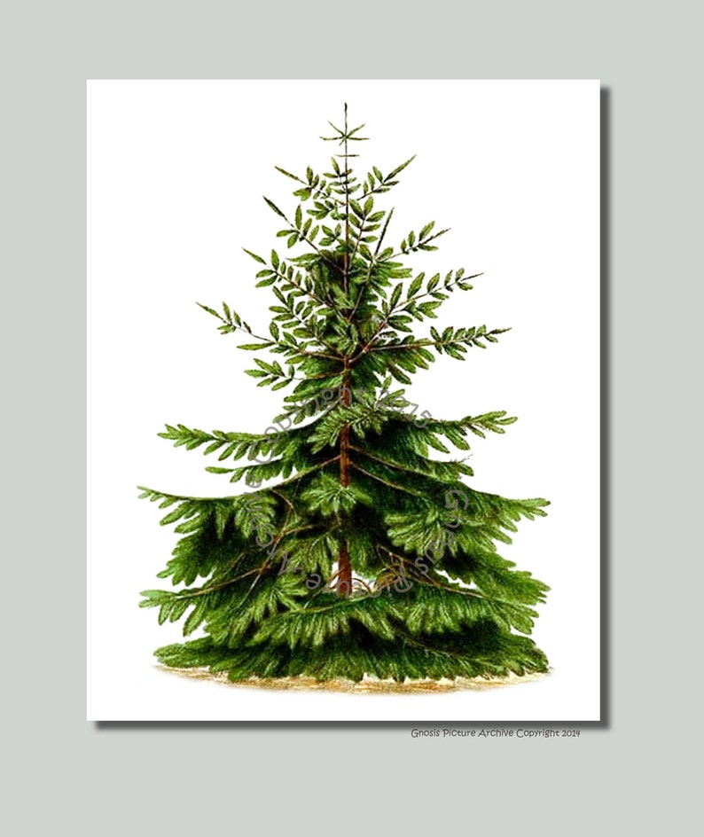 Christmas Decor Set of 6 Art Prints Christmas Tree - Etsy