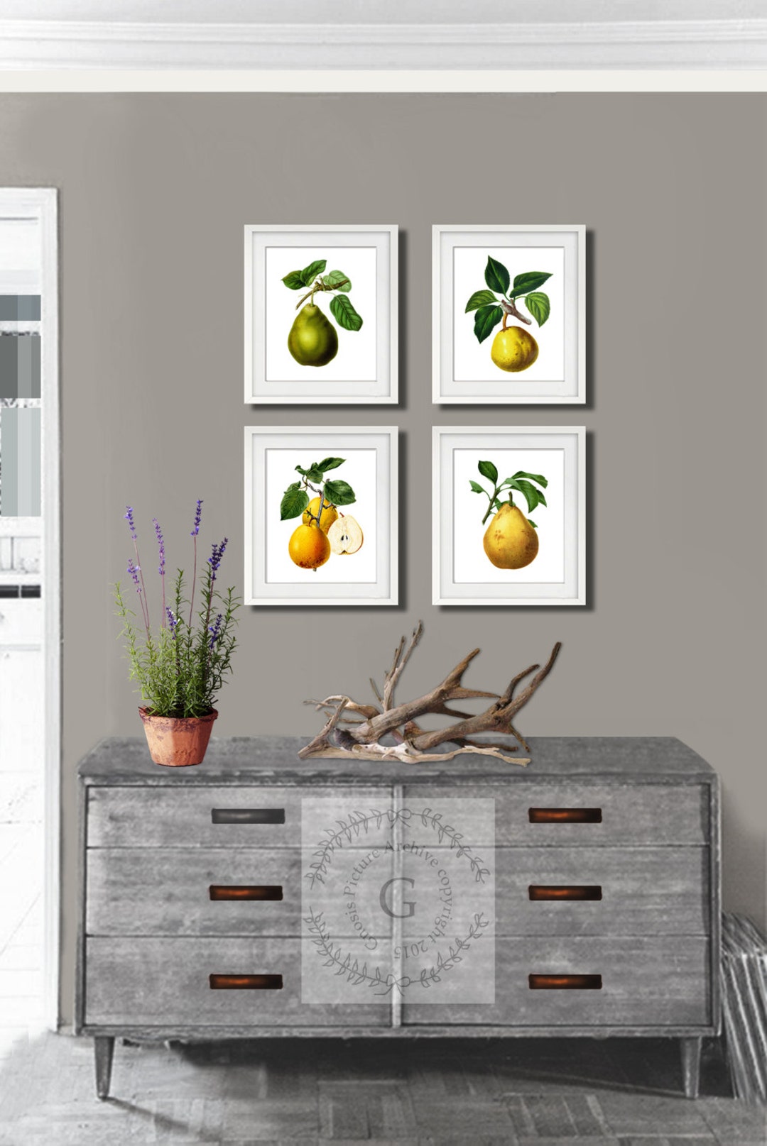 Pear Fruit Art Botanical Print Set of 4 Unframed Pear Art Prints - Etsy
