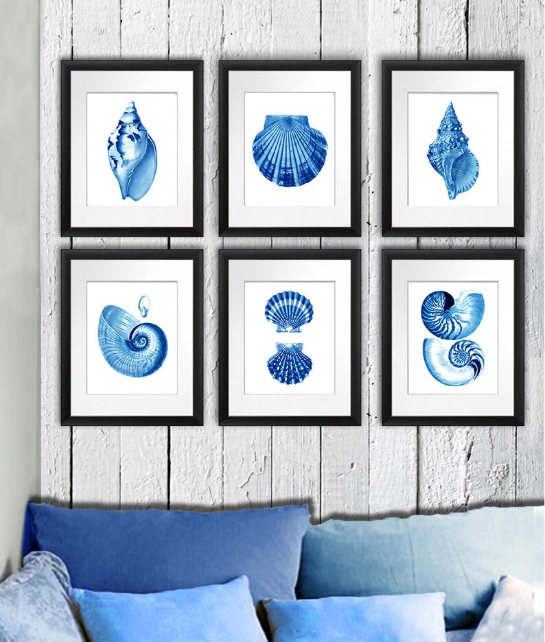 Seashell Art Blue Seashell Prints Set of 6 Antique Seashell - Etsy Canada