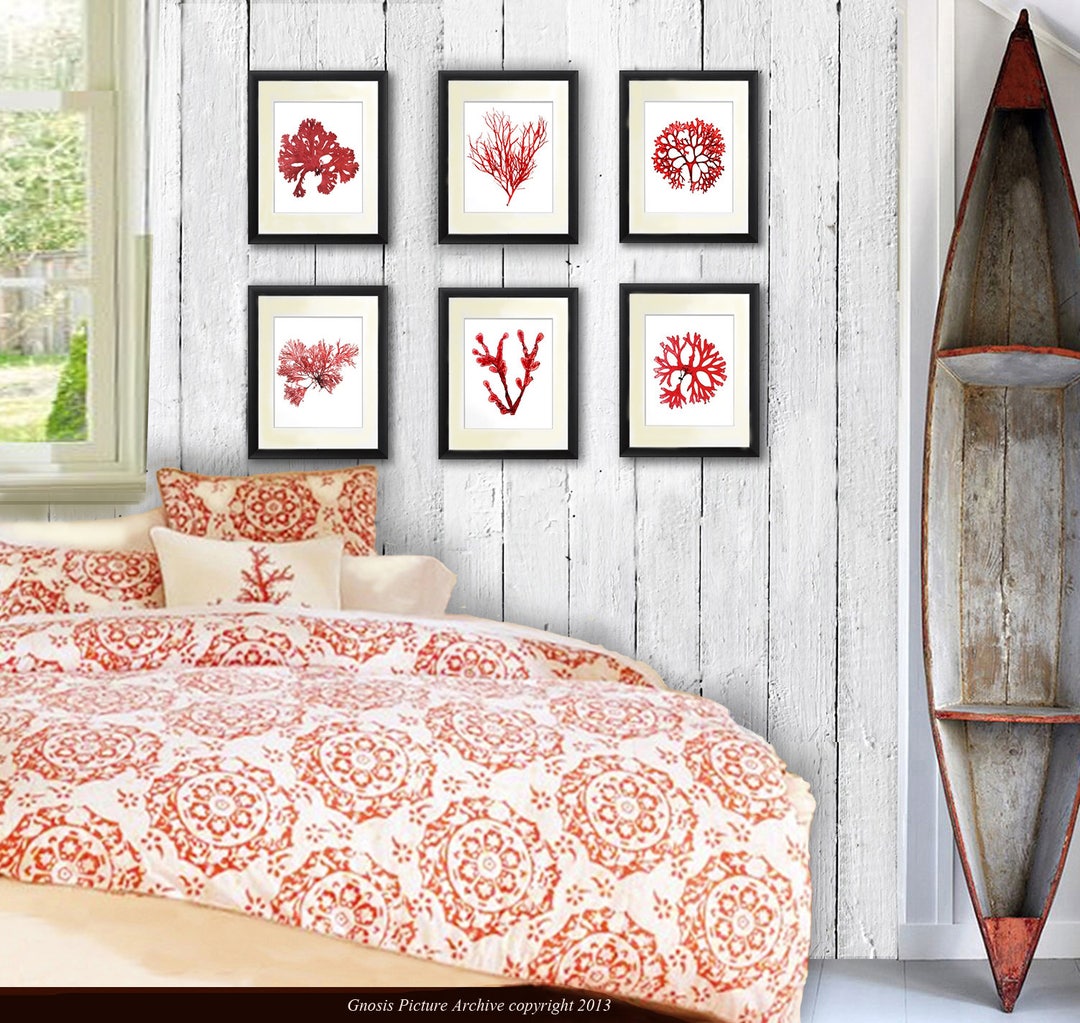 Red Coastal Wall Art Red Seaweed Art Prints Set of 6 Great for Coastal ...