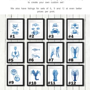 Crab Lobster Wall Decor Set of 12 Sea Life Prints Sepia Brown Crabs ...