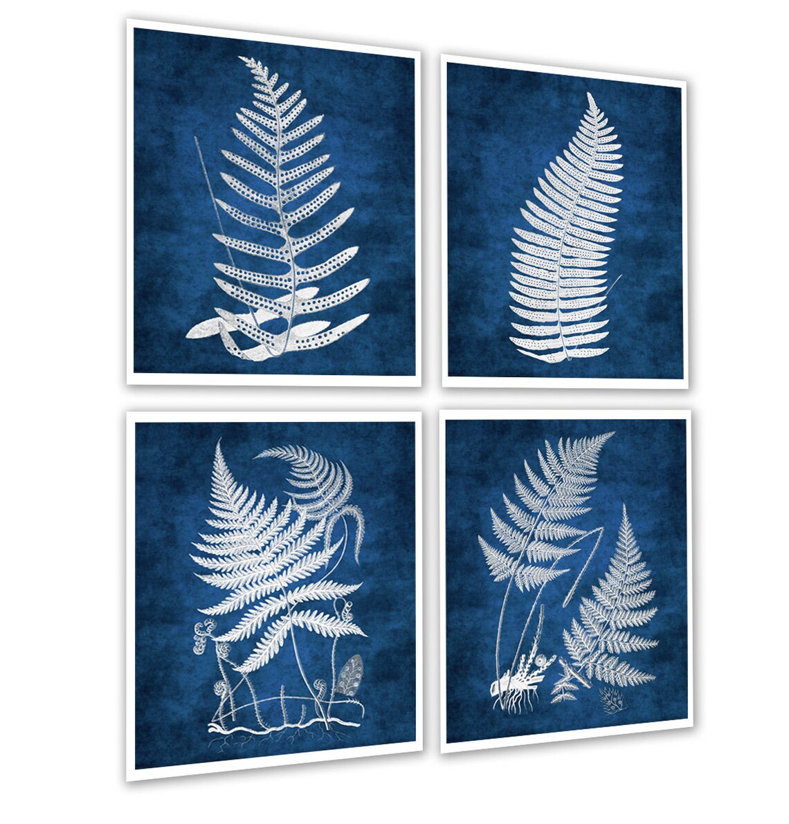 Fern Wall Art Print With Navy Background Set of 4 Navy Blue - Etsy