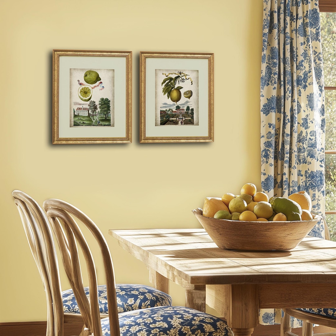 Volkamer Lemons Citrus Botanical Art Prints Set of 2 Unframed ...