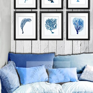 Blue Sea Coral Wall Art Prints Set of 12 Beach House Decor - Etsy