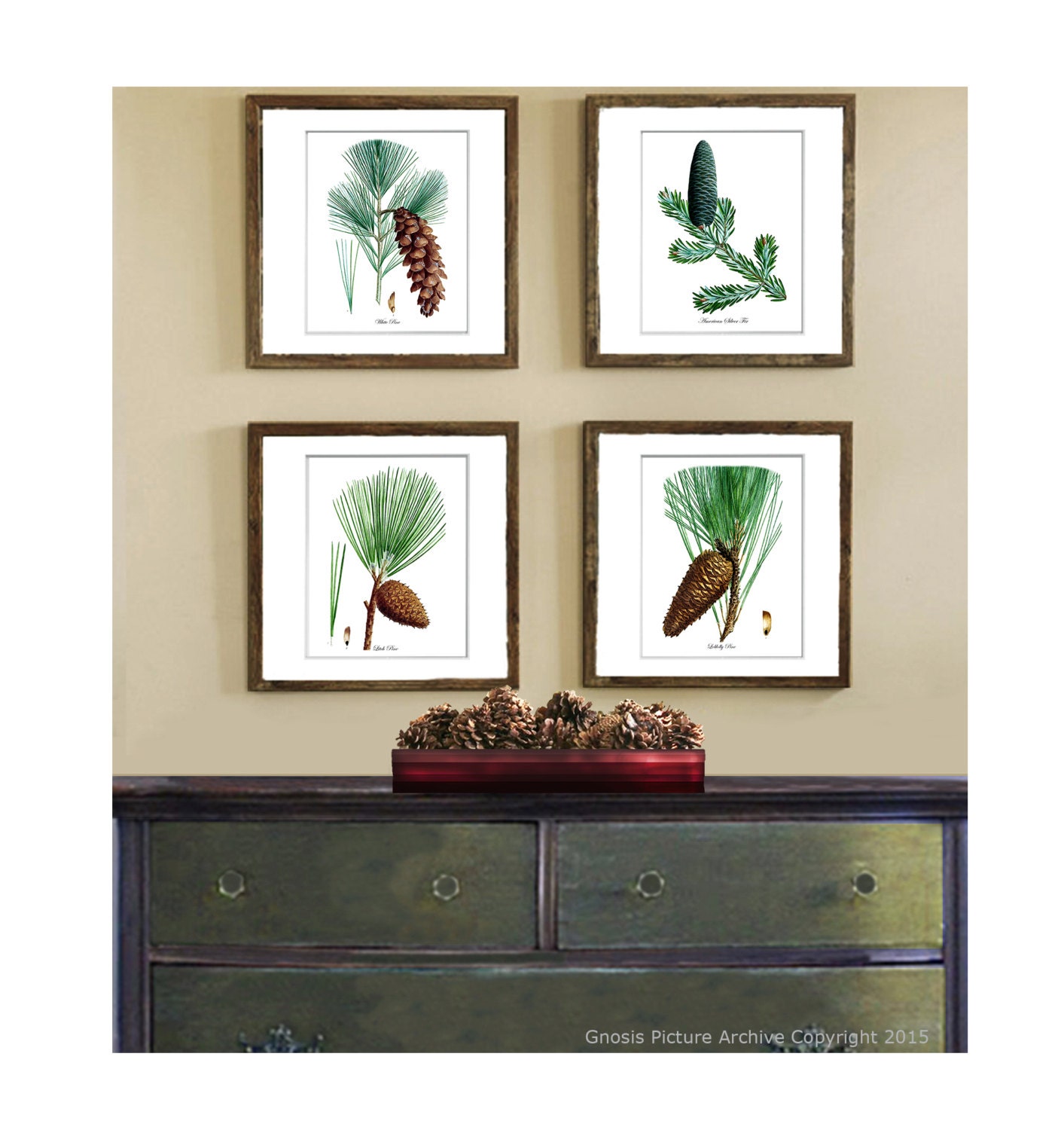 Forest Art Print Conifers Prints Set of 12, Botanical Art Print Pine ...