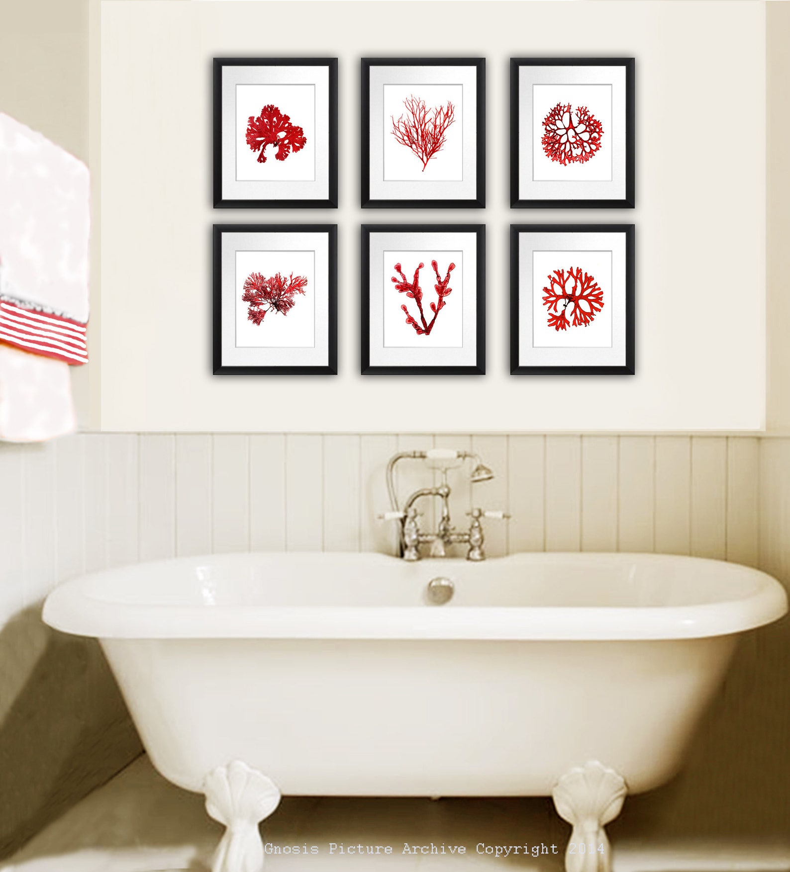 Red Coastal Wall Art Red Seaweed Art Prints Set of 6 Great for Coastal ...