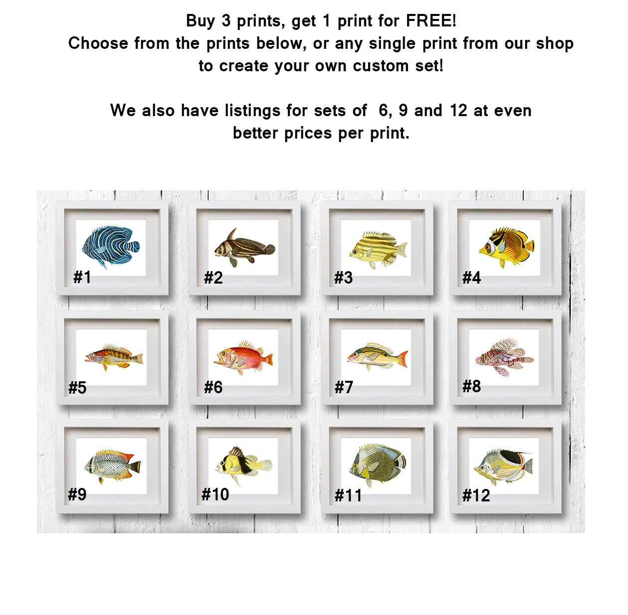 Tropical Fish Decor Antique Fish Prints set of 6 tropical | Etsy