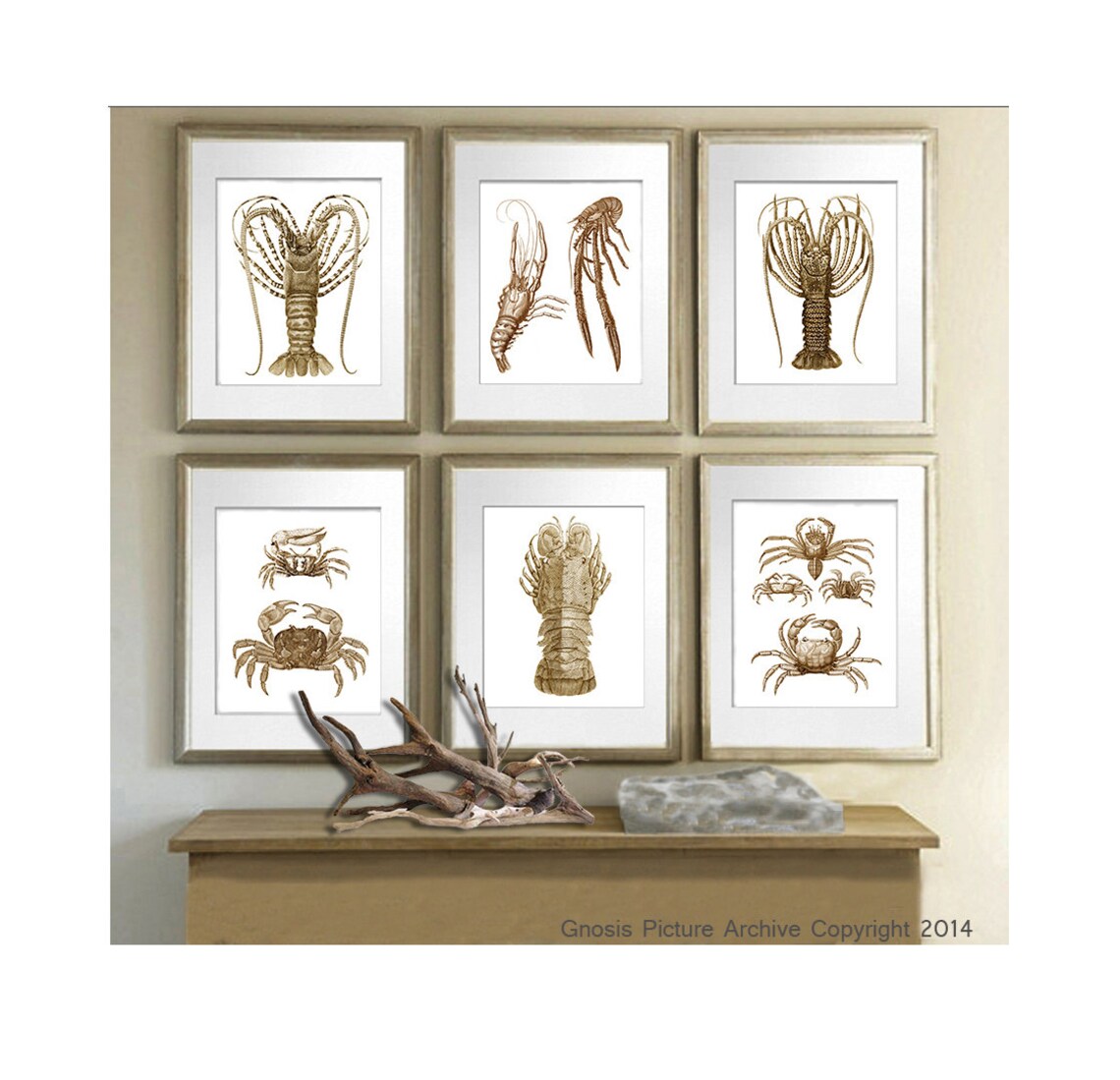 Crab Lobster Wall Decor Set of 12 Sea Life Prints Sepia Brown - Etsy