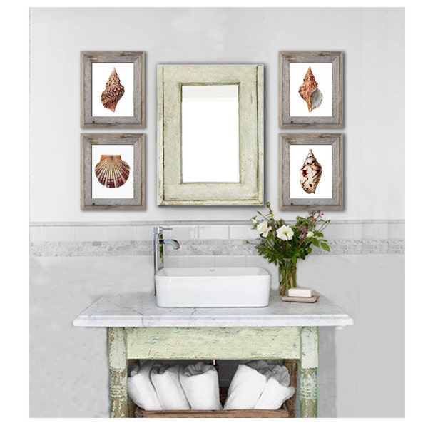 Seashell Wall Art - Etsy