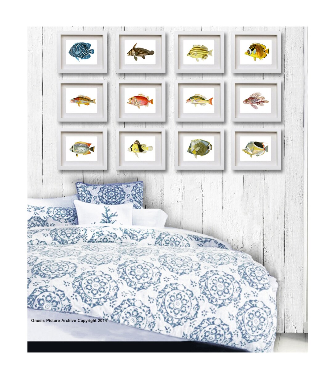 Tropical Fish Art Prints Set of 12 Unframed Coral Reef Fish Colorful ...