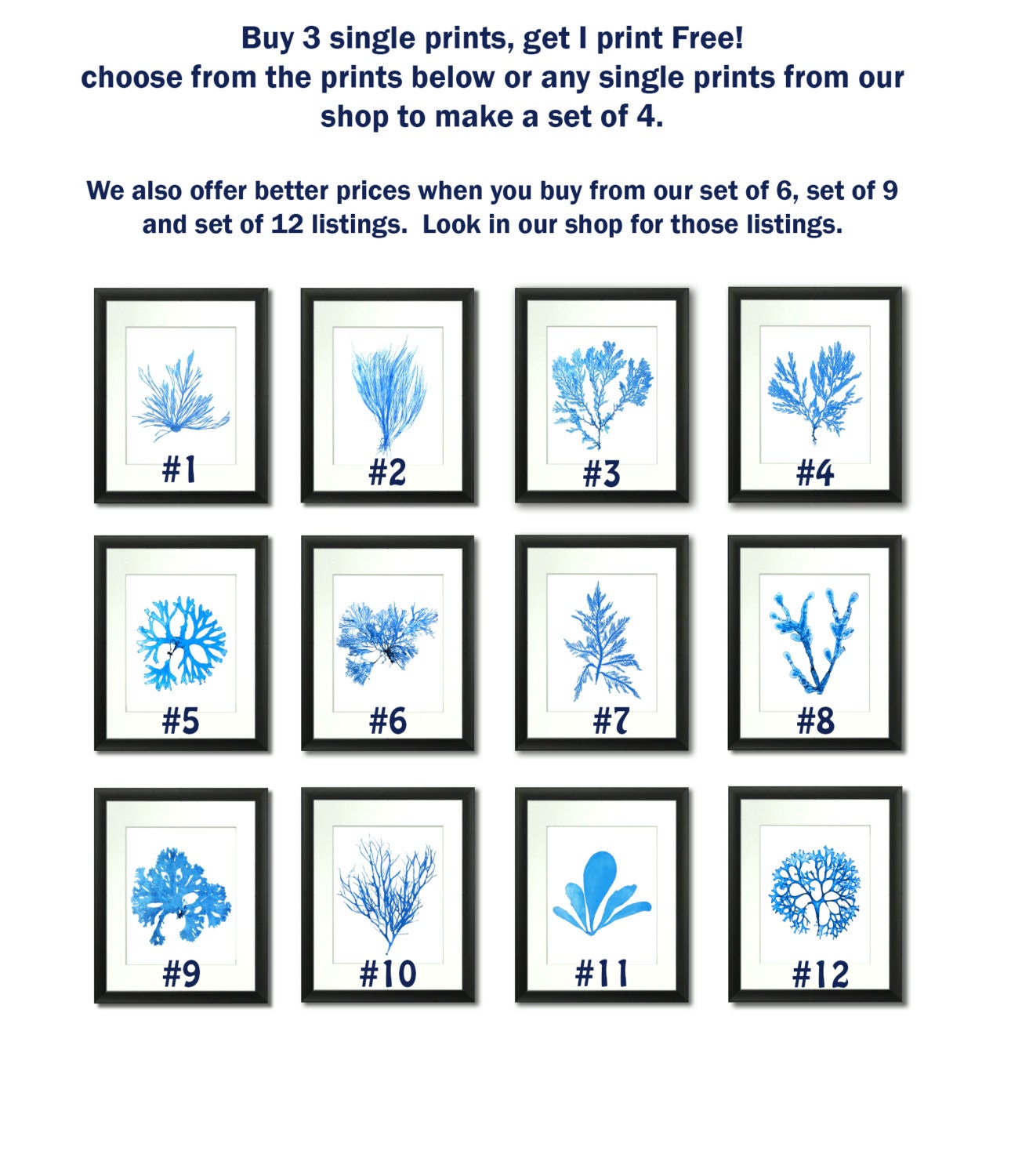 Hamptons Wall Art Blue Seaweed Wall Art Prints Set of 6 Prints - Etsy