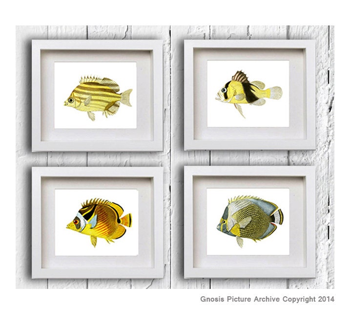 Fish Poster Set of 4 Unframed Etsy Wall Art Tropical Fish Kids Room ...