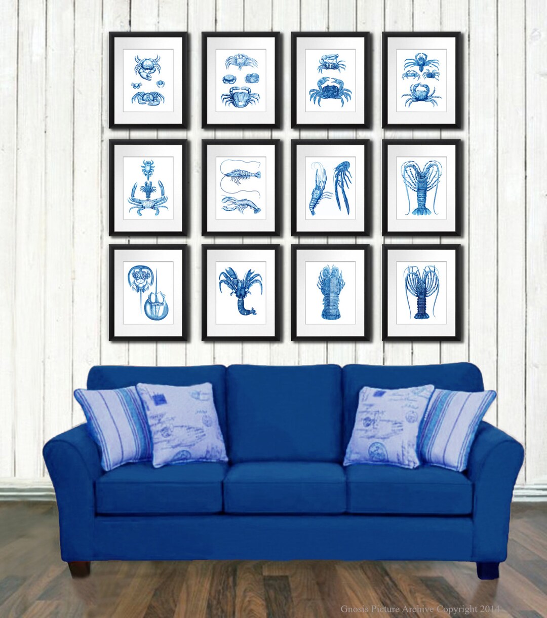 Kitchen Art Set of 12 Seafood Prints Blue Crabs, Lobsters, Prawns ...
