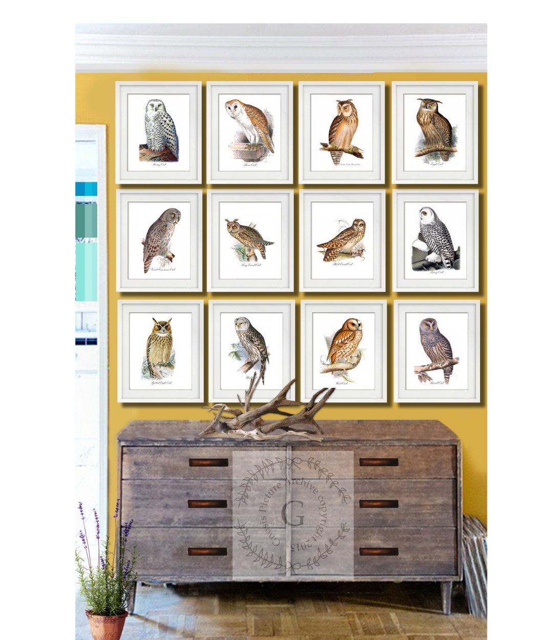 Owl Wall Decor Set of 12 Prints, Owl Wall Art, Owl Nursery Decor, Brown ...
