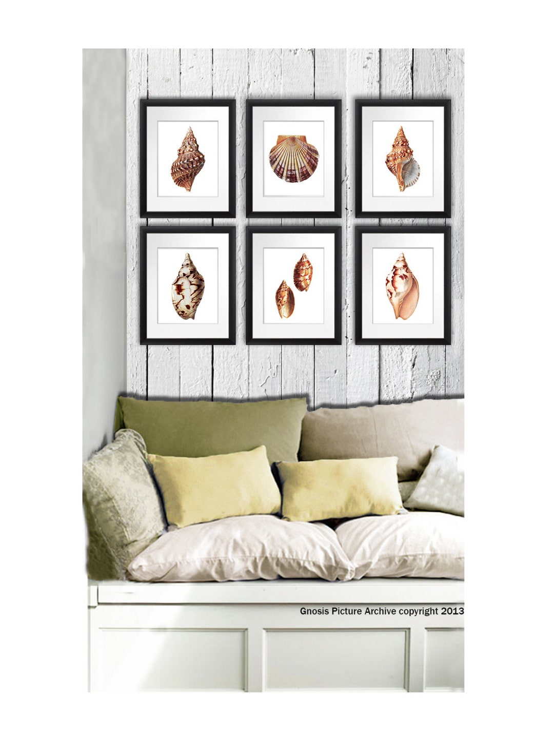 Seashell Art Home Decor Art Prints Set of 6 Prints, Beach Decor ...