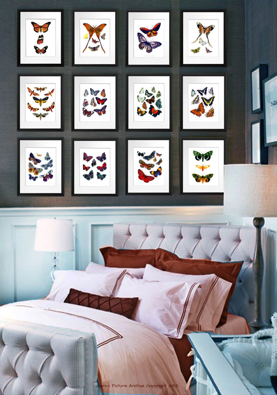 Butterfly Decor Set of 12 Colorful Butterflies, Teen Girl Room Decor ...