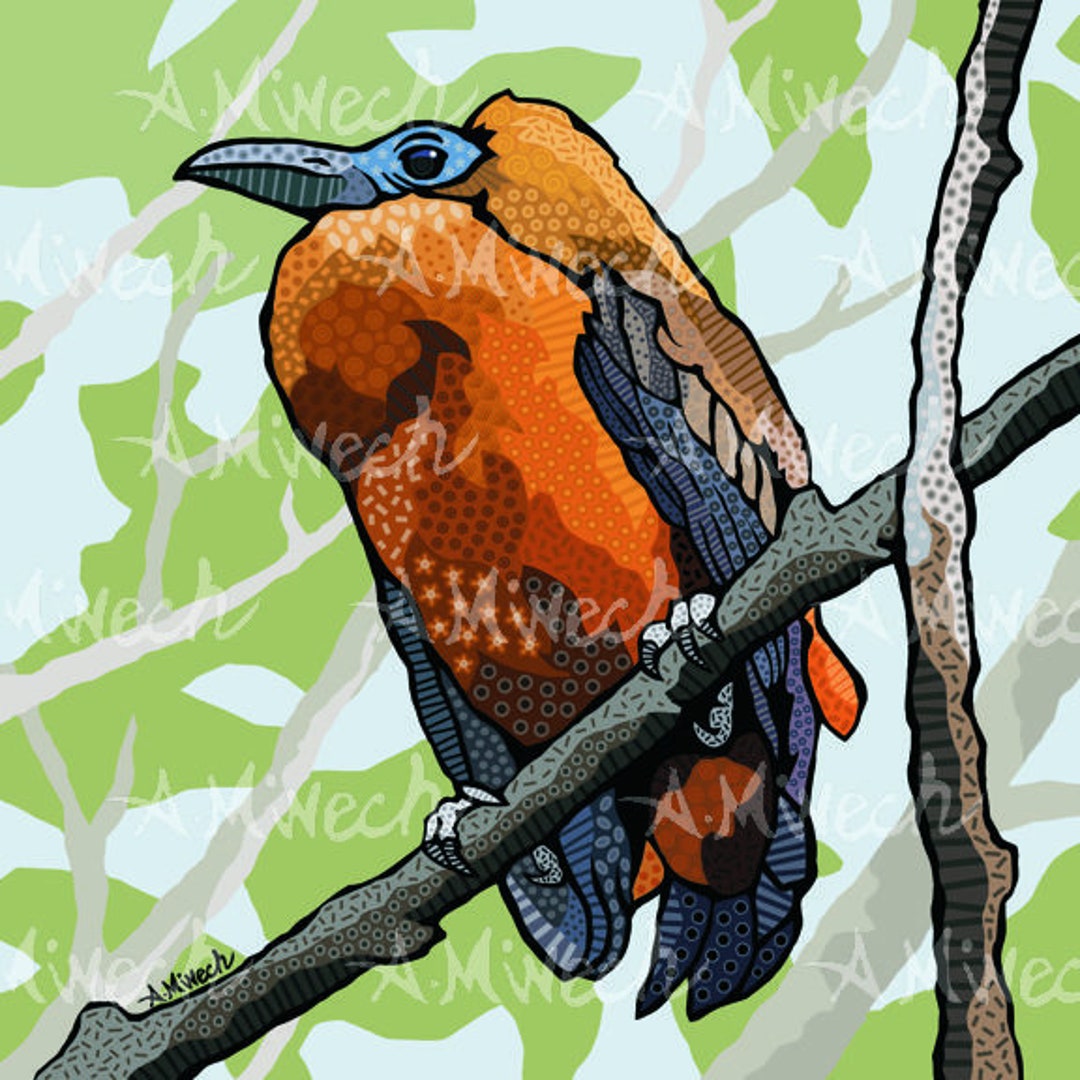 Z National Aviary Capuchinbird 8x8 Print Tropical Bird - Etsy