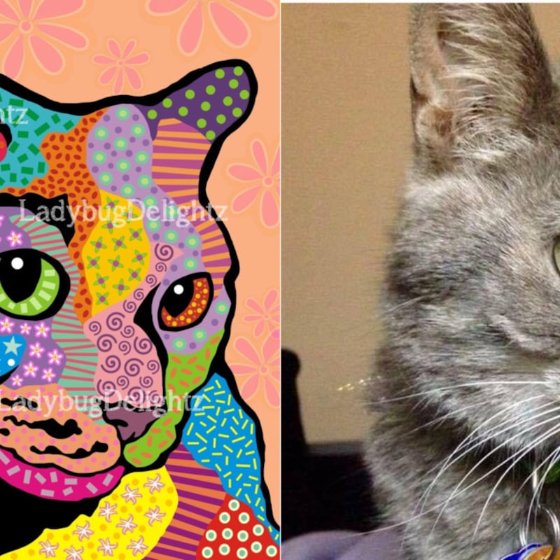 Pop Art Pet Portrait - Etsy