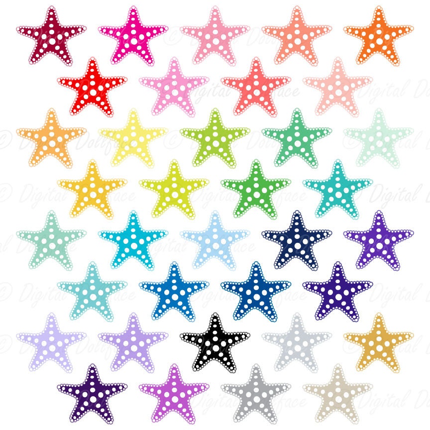 Starfish Clip Art Summer Ocean Starfish Graphic Clipart | Etsy