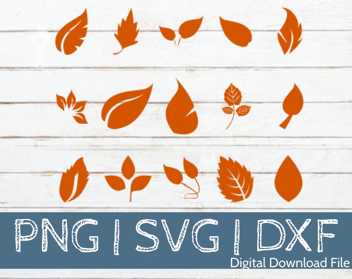 Leaves Svg. Leaf Clipart. Leaf Cut Files Digital Download Svg - Etsy